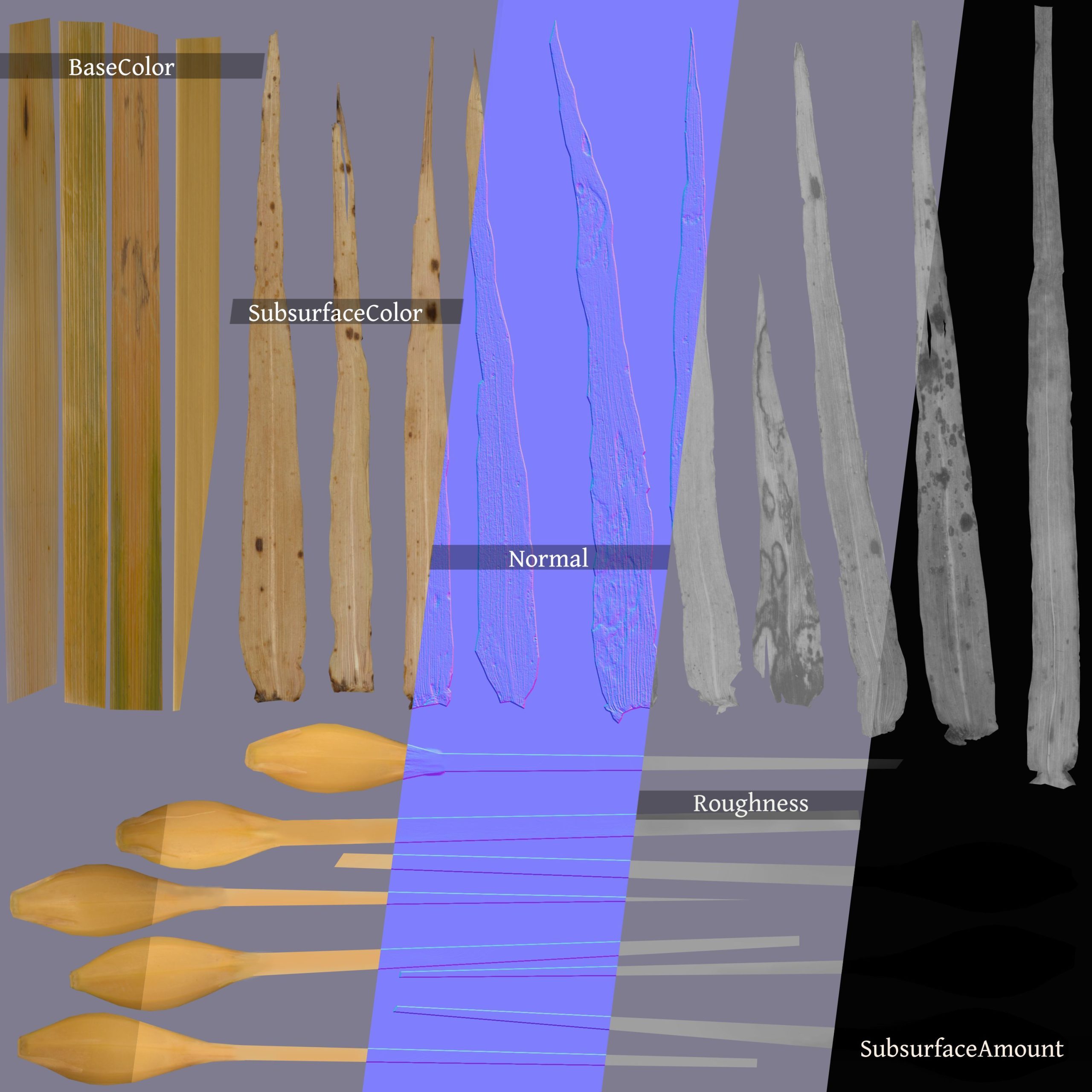 Blender 3D Wheat Field Pack | VFX Grace