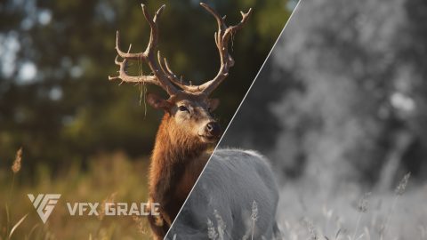 Pere Davids Rig - MAYA Character Asset | VFX Grace