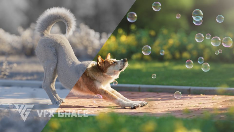 Dog Animated - MAYA Character Asset | VFX Grace