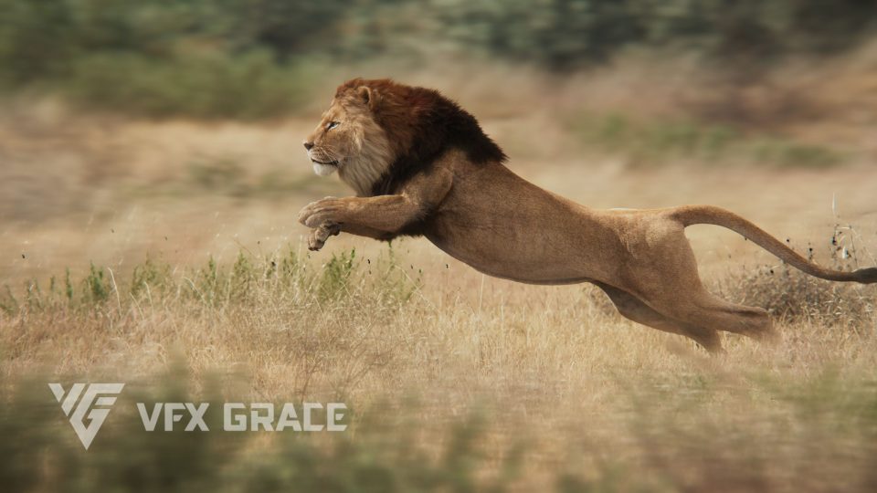 Lion Rig - MAYA Character Asset | VFX Grace