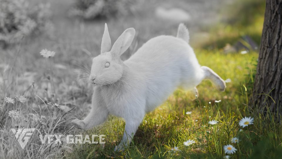 White Rabbit Animated - MAYA Character Asset | VFX Grace