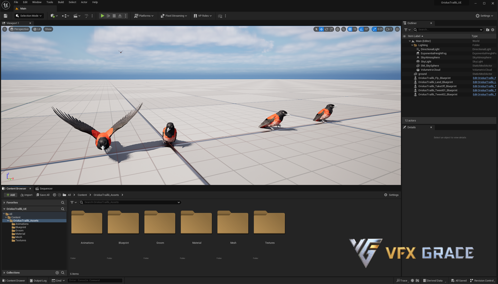 3D Oriolus Traillii - Unreal Engine Character Asset | VFX Grace