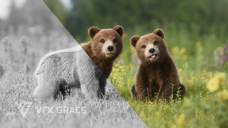 Little Brown Bear Animation | VFX Grace | VFX Grace