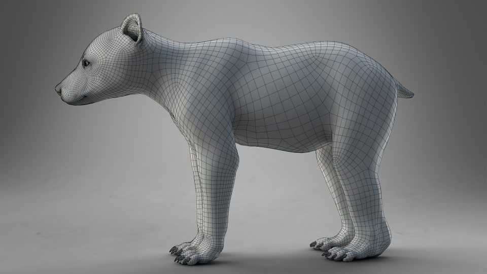 Little Brown Bear Animation | VFX Grace | VFX Grace