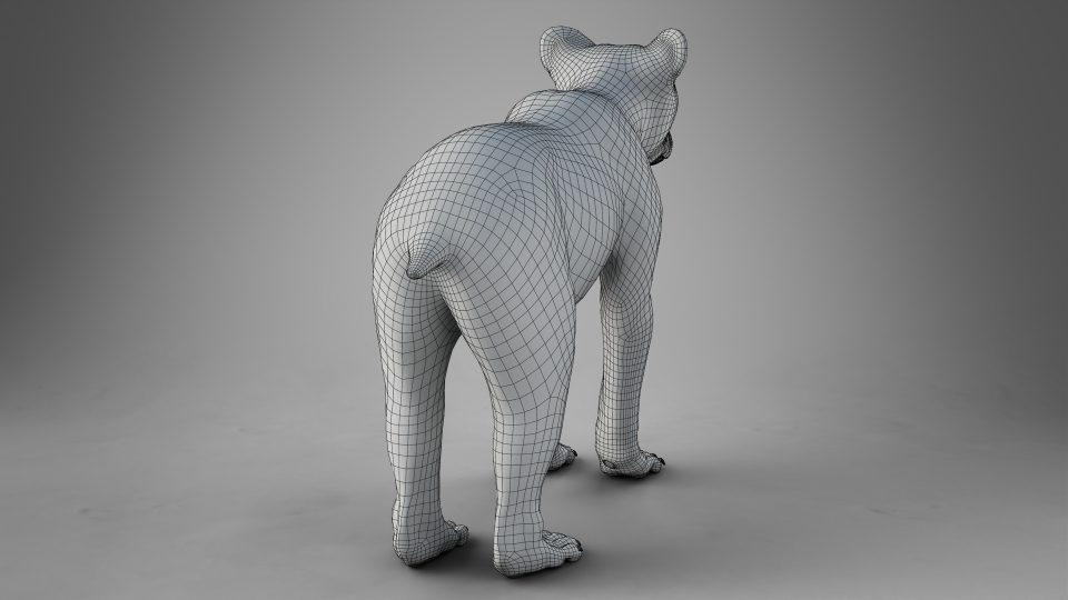 Little Brown Bear Animation | VFX Grace | VFX Grace