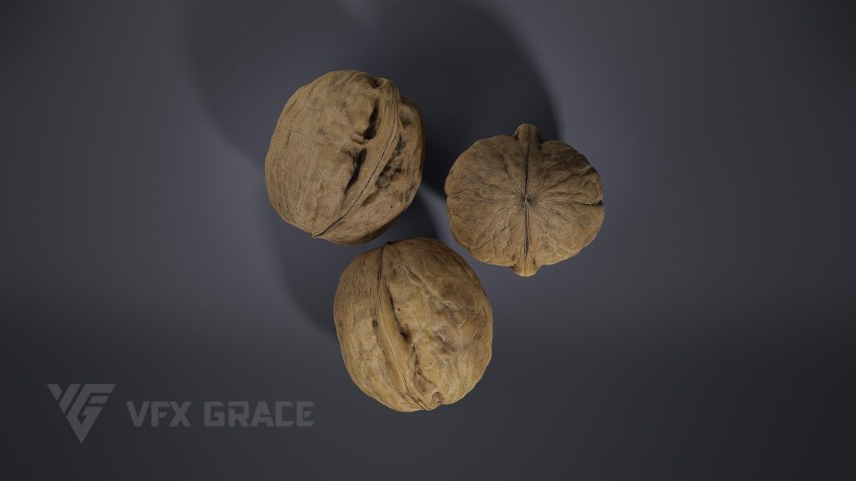 Walnut 003 | Food Model | VFX Grace