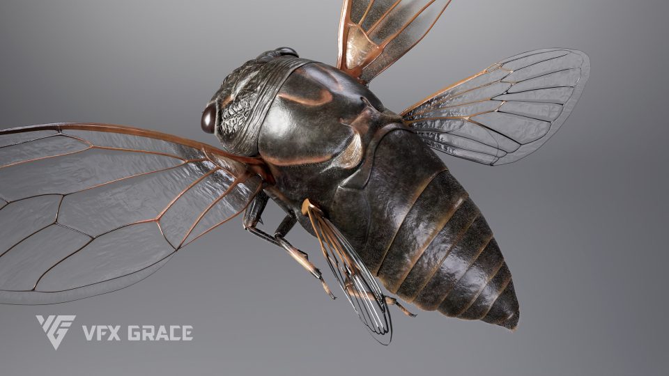 Cicada Animation Maya Character Asset Vfx Grace