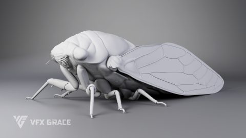 Cicada Animation - MAYA Character Asset | VFX Grace
