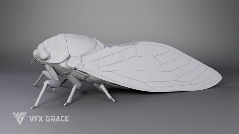 Cicada Animation - MAYA Character Asset | VFX Grace