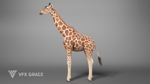 Giraffe Rig - MAYA Character Asset | VFX Grace