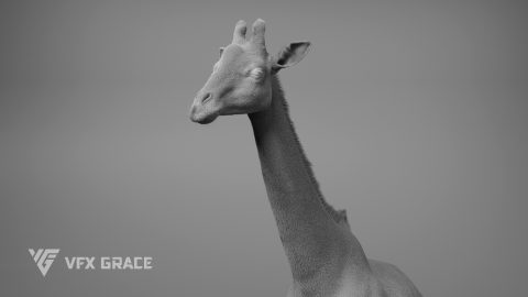 Giraffe Rig - MAYA Character Asset | VFX Grace