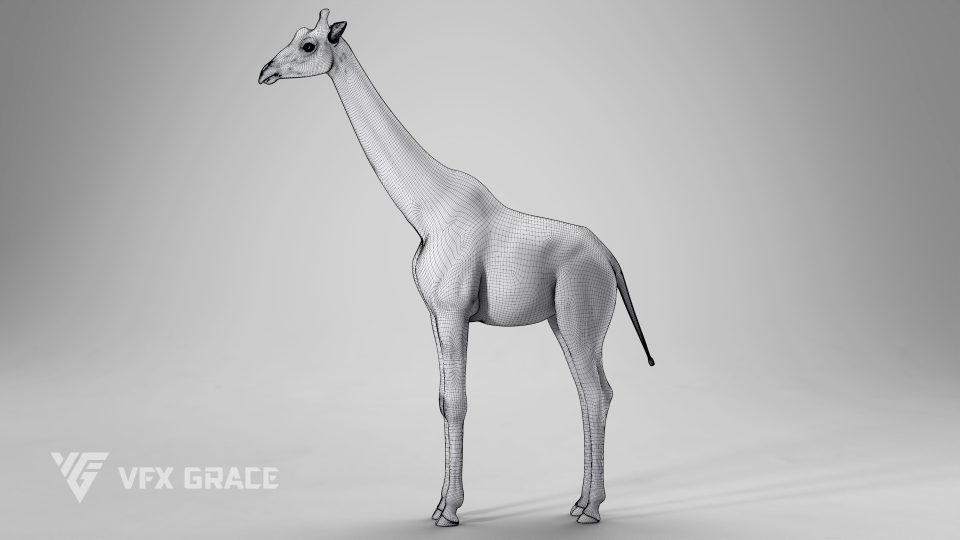 Giraffe Rig - MAYA Character Asset | VFX Grace