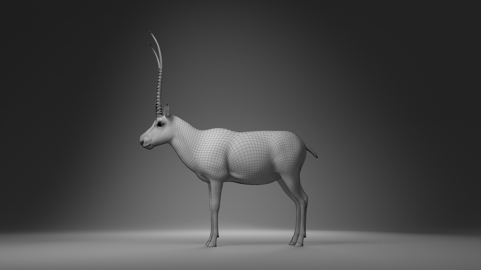 Tibetan Antelope Animation | VFX Grace | VFX Grace