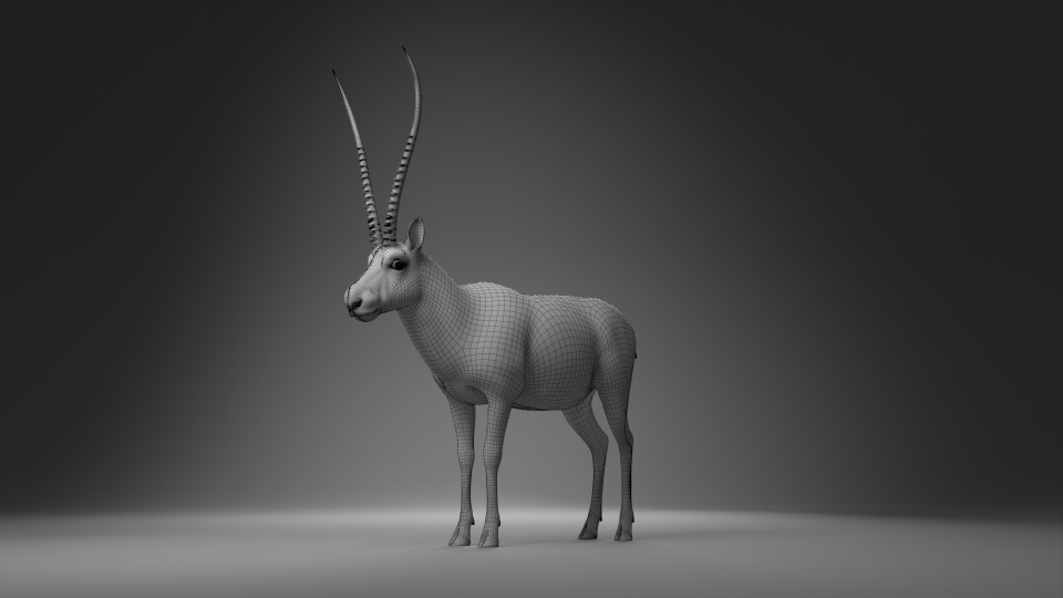 Tibetan Antelope Animation | VFX Grace | VFX Grace
