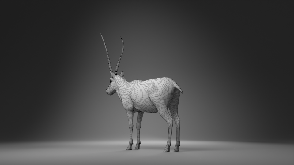 Tibetan Antelope Animation | VFX Grace | VFX Grace