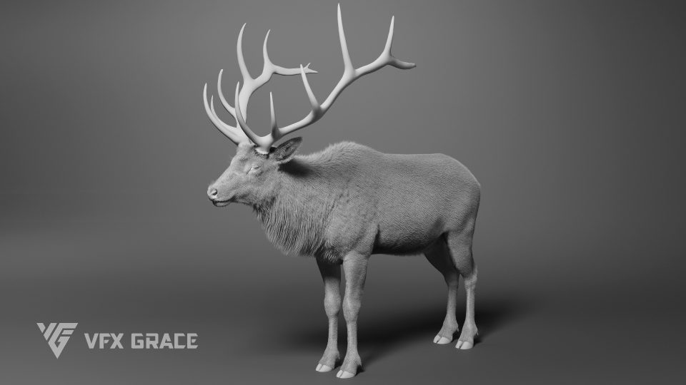 Male Elk Animation - MAYA Character Asset | VFX Grace