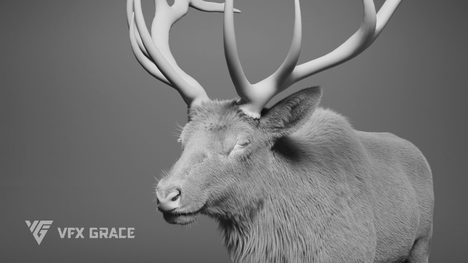 Male Elk Animation - MAYA Character Asset | VFX Grace