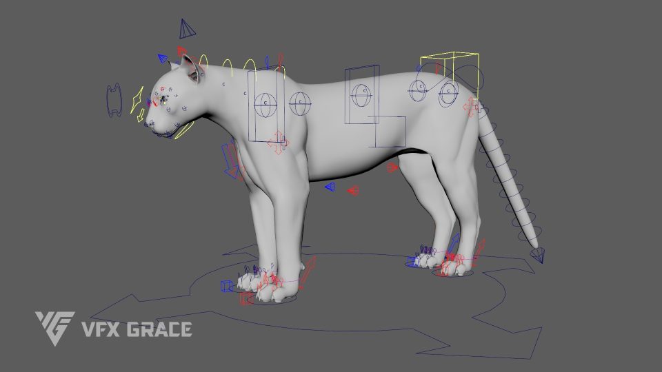 Puma Animation - MAYA Character Asset, Puma 3d | VFX Grace