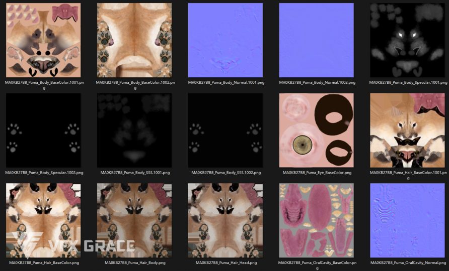 Puma Animation - MAYA Character Asset, Puma 3d | VFX Grace