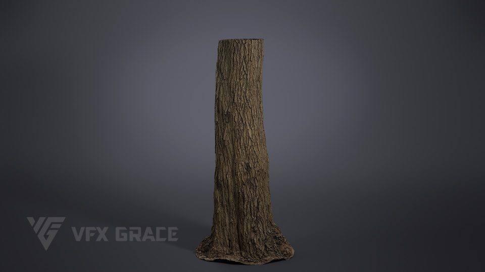 Tallow Tree Trunk 3D Model 001, 3d tree model, free 3d models | VFX Grace