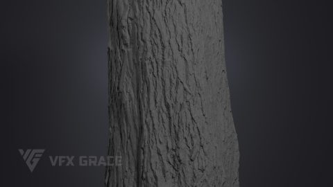 Tallow Tree Trunk 3D Model 001, 3d tree model, free 3d models | VFX Grace