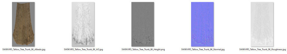 Tallow Tree Trunk 3D Model 001, 3d tree model, free 3d models | VFX Grace