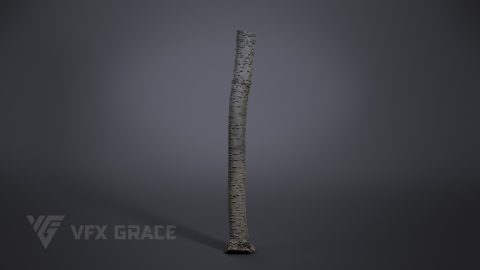 Cherry Tree 003 | Tree Model | VFX Grace