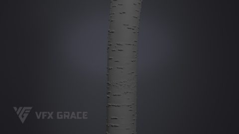 Cherry Tree 003 | Tree Model | VFX Grace