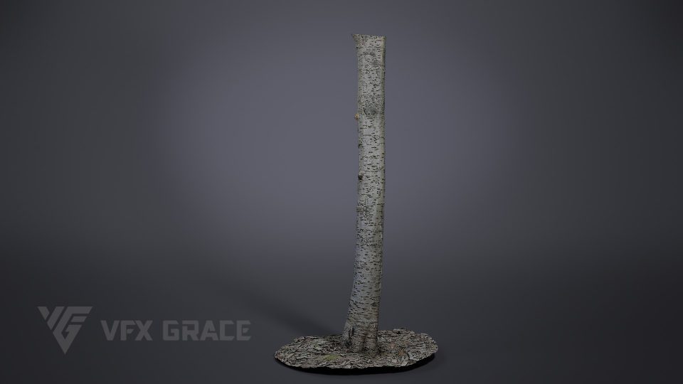 Cherry Tree 3D Model 002, 3d tree model, free 3d models | VFX Grace