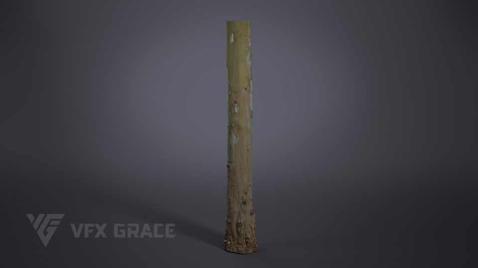 Plane Tree Model 001, 3d tree model, free 3d models | VFX Grace