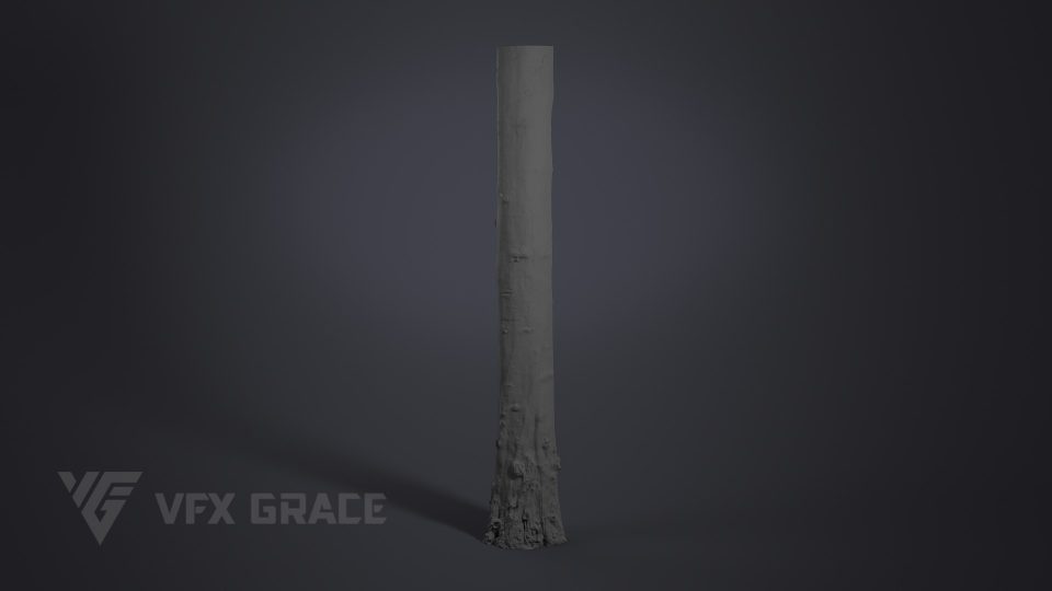 Plane Tree Model 001, 3d tree model, free 3d models | VFX Grace