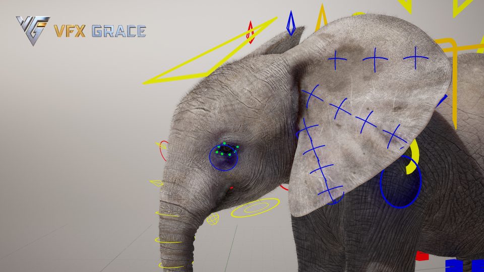 Young African Elephant Animated - UE Character Asset | VFX Grace