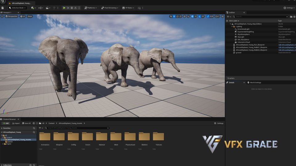 Young African Elephant Animated - UE Character Asset | VFX Grace