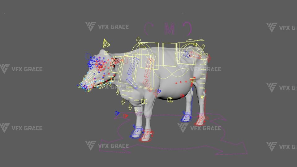 Black Cattle Animation - MAYA Character Asset | VFX Grace