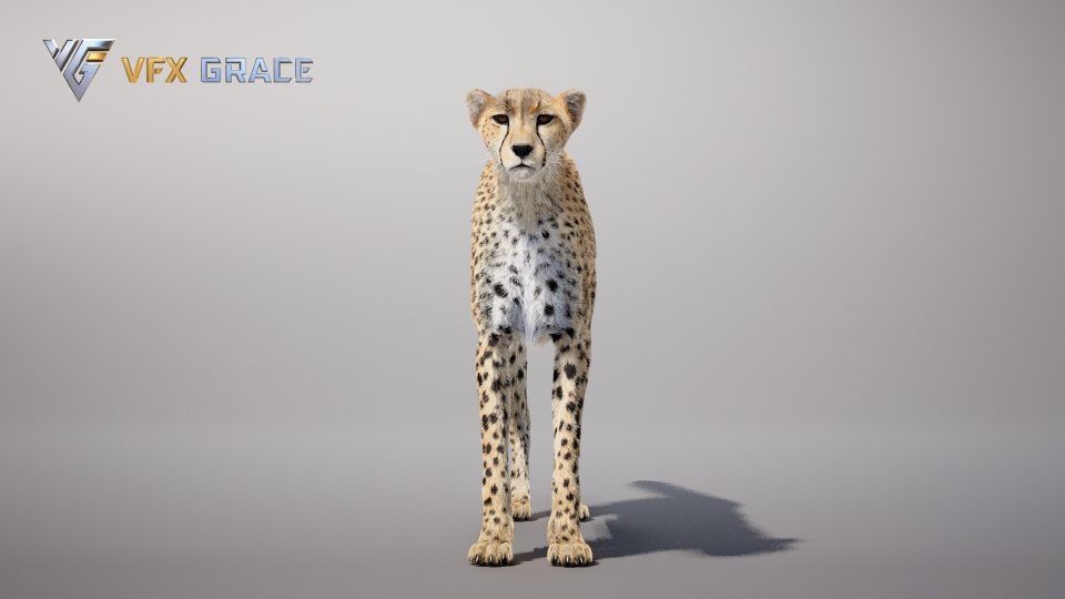 Cheetah Animated - UE Character Asset | VFX Grace