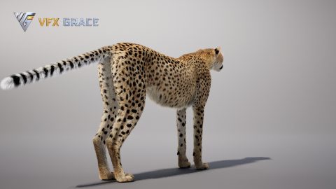 Cheetah Animated - UE Character Asset | VFX Grace