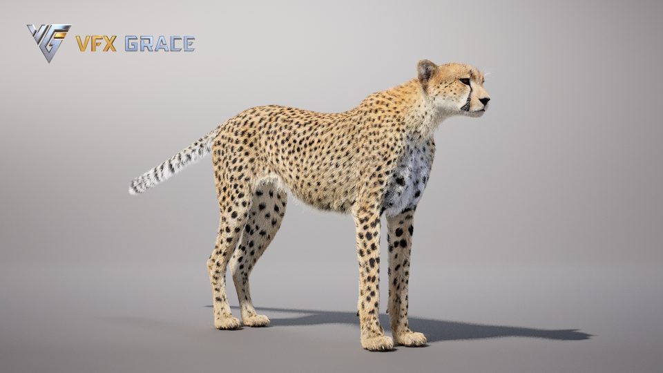 Cheetah Animated - UE Character Asset | VFX Grace
