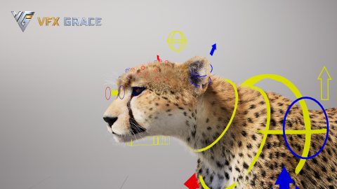 Cheetah Animated - UE Character Asset | VFX Grace