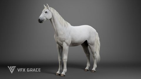White Horse Rig - MAYA Character Asset | VFX Grace