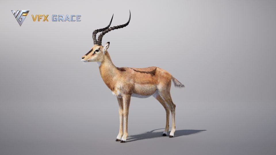 Impala Animated - UE Character Asset | VFX Grace