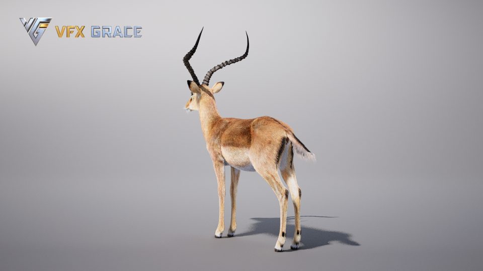 Impala Animated - UE Character Asset | VFX Grace