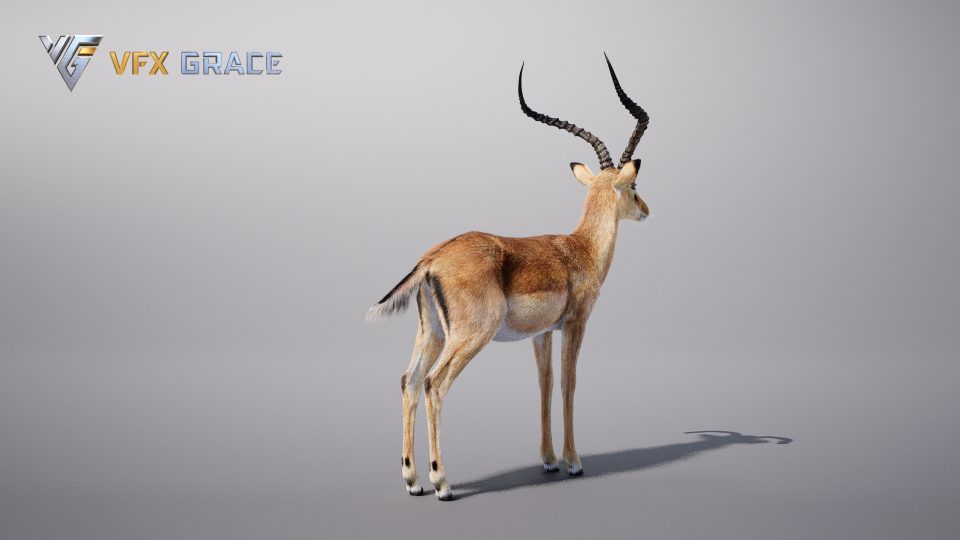 Impala Animated - UE Character Asset | VFX Grace