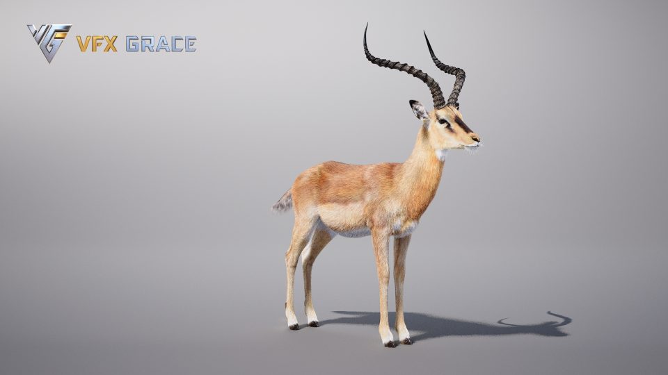 Impala Animated - UE Character Asset | VFX Grace