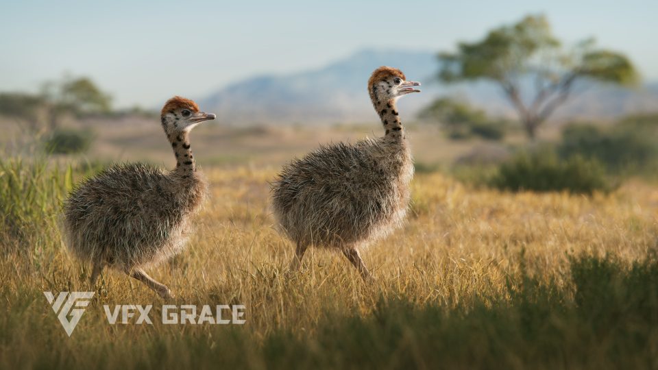 Young Ostrich Animated - UE Character Asset | VFX Grace