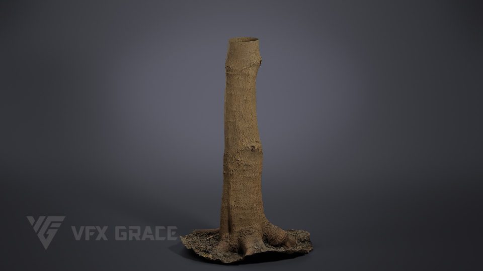 Free 3d Models. This is a Tallow tree trunk model, made with Blender 3. ...