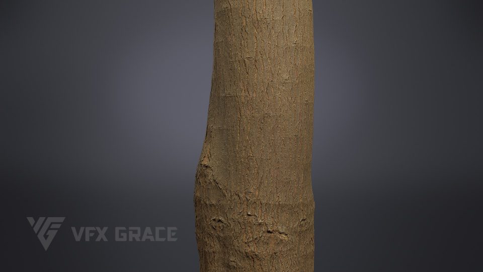 Free 3d Models. This is a Tallow tree trunk model, made with Blender 3. ...