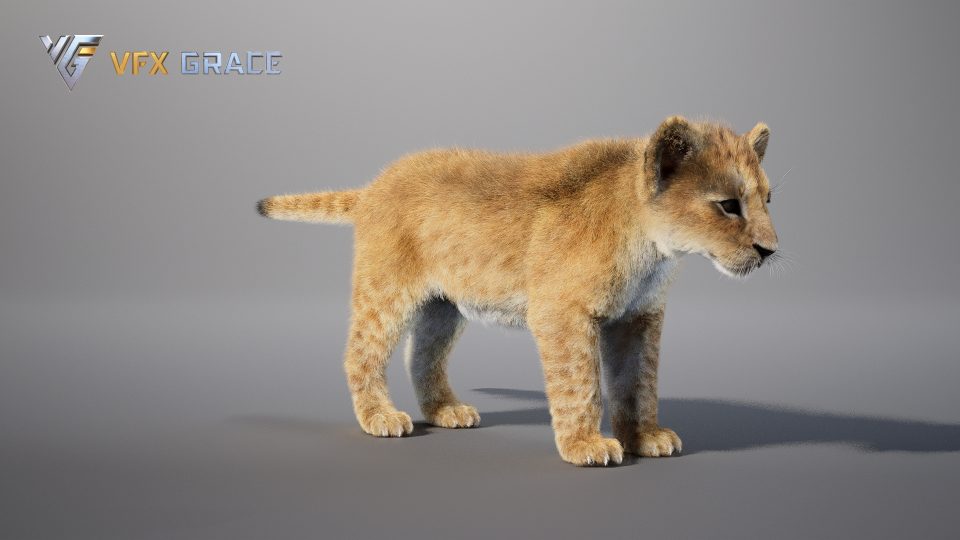 Lion Cub Animated - UE Character Asset | VFX Grace