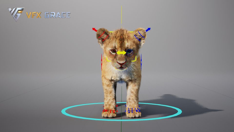 Lion Cub Animated - UE Character Asset | VFX Grace