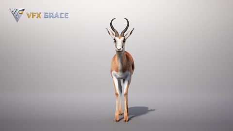 Springbok Animated - UE Character Asset | VFX Grace
