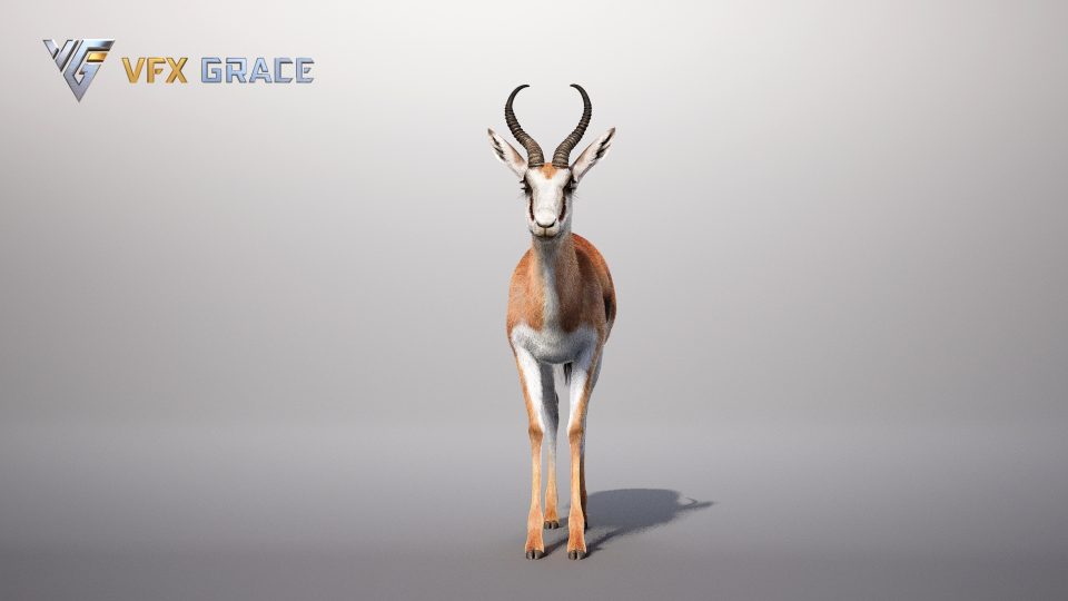 Springbok Animated - UE Character Asset | VFX Grace